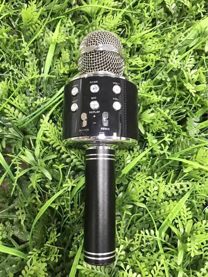 WSTER รุ่นWS858 Wirless Microphone Karaoke ลำโพง ไมค์ ไมค์ลอย ไมค์ไร้ ...