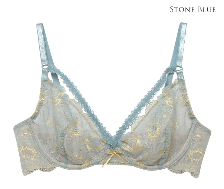Annebra บราลูกไม้ ซีทรู มีโครง ไม่เสริมฟองน้ำ Sheer Lace Bra รุ่น AB1 ...