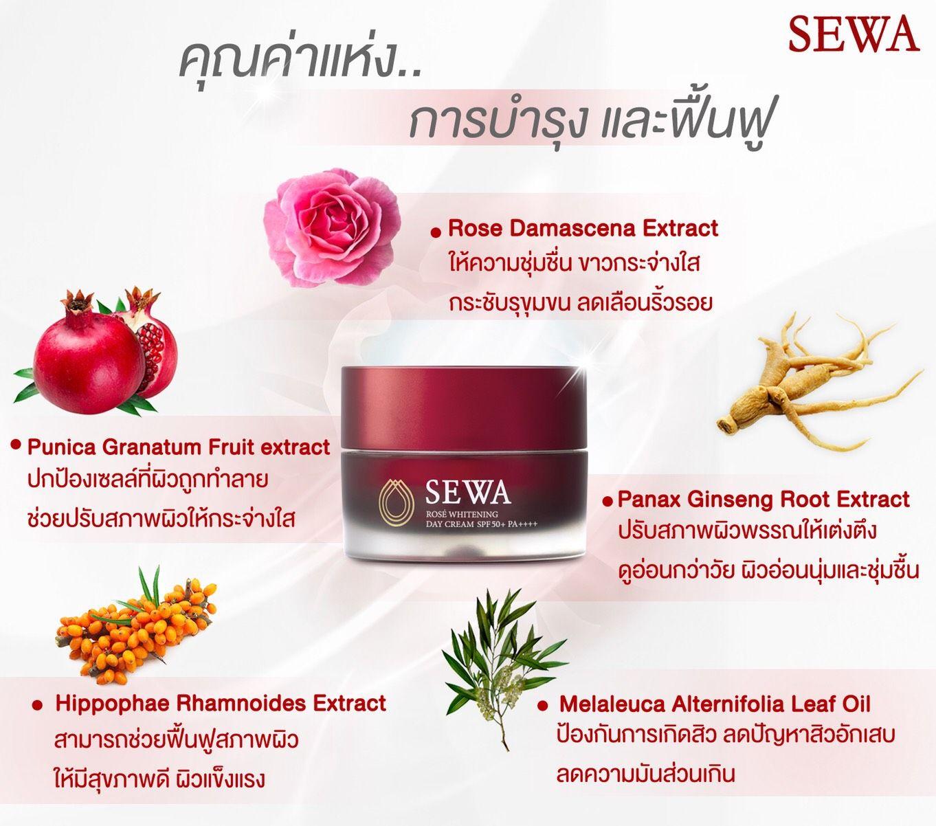 Sewa เซตคู่ (เดย์ครีม+น้ำตบ) - tt&tt - ThaiPick