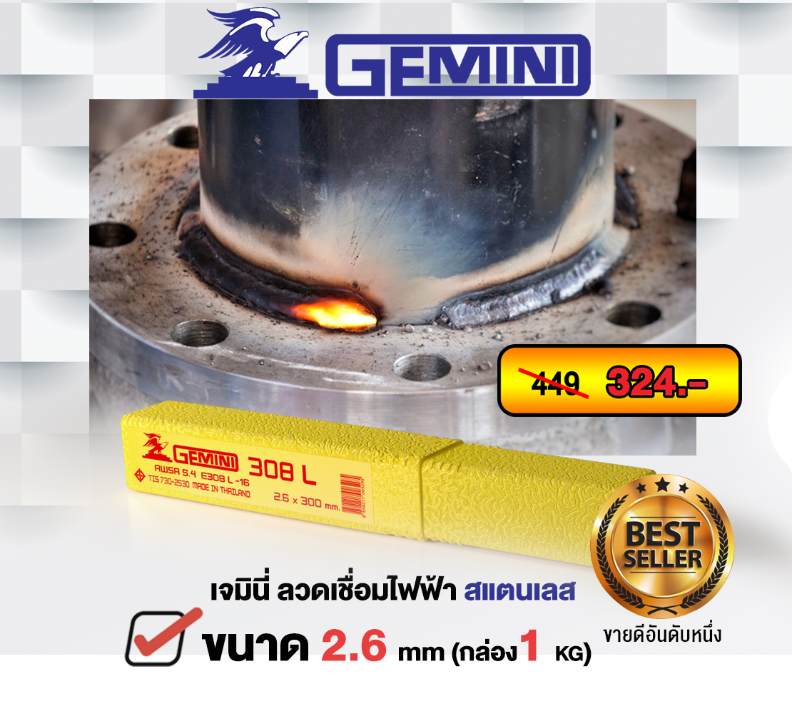 GEMINI ลวดเชื่อมสเตนเลส 308L 2.6x300 มม. 1 หลอด 1 กิโลกรัม | Lazada.co.th