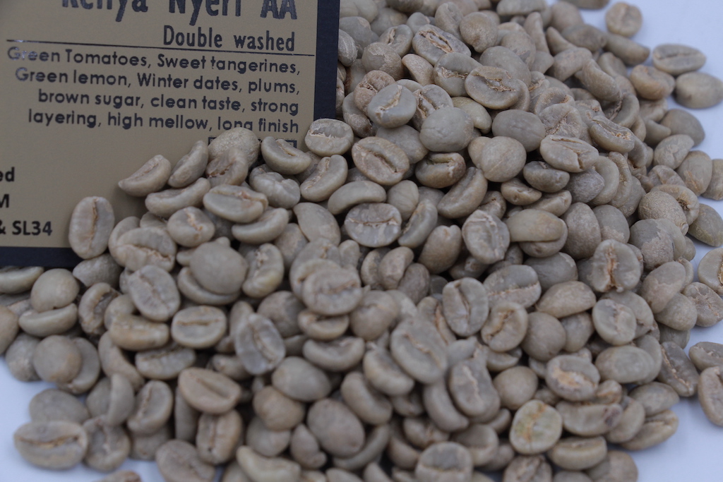 พร้อมส่ง เมล็ดกาแฟดิบ Kenya Nyeri AA washed process / สารเมล็ดกาแฟนอก ...