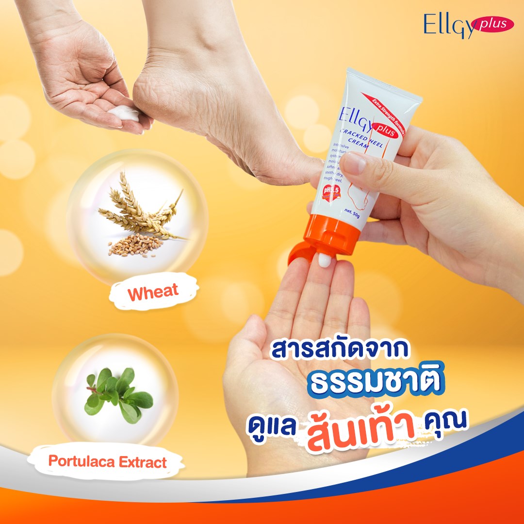 Ellgy Plus Cracked Heel Cream เอลจี้ พลัส แคร็ก ฮีล ครีม 50 กรัม 1 หลอด ...