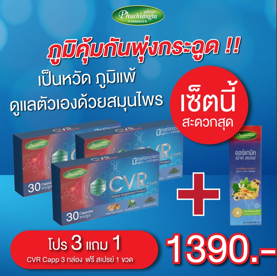 (ส่งฟรี) สารสกัดกระชายขาวผสมสมุนไพรรวม 7 ชนิด ซีวีอาร์ แคปป์ (CVR Capp ...