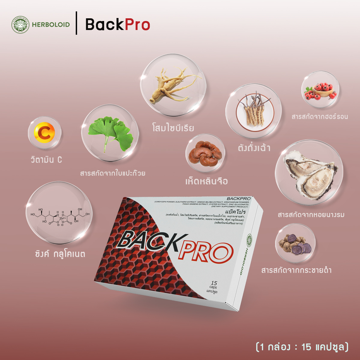 BACKPRO รักษาและป้องกันโรคต่อมลูกหมากอักเสบ ️ 1 กล่อง Back Pro กระตุ้นการไหลเวียนโลหิต เพิ่ม ...