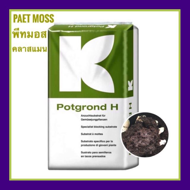RL ⊿Plants Center พร้อมส่ง 1 กก. พีทมอสสำหรับเพาะต้นกล้า Potgrond H ...