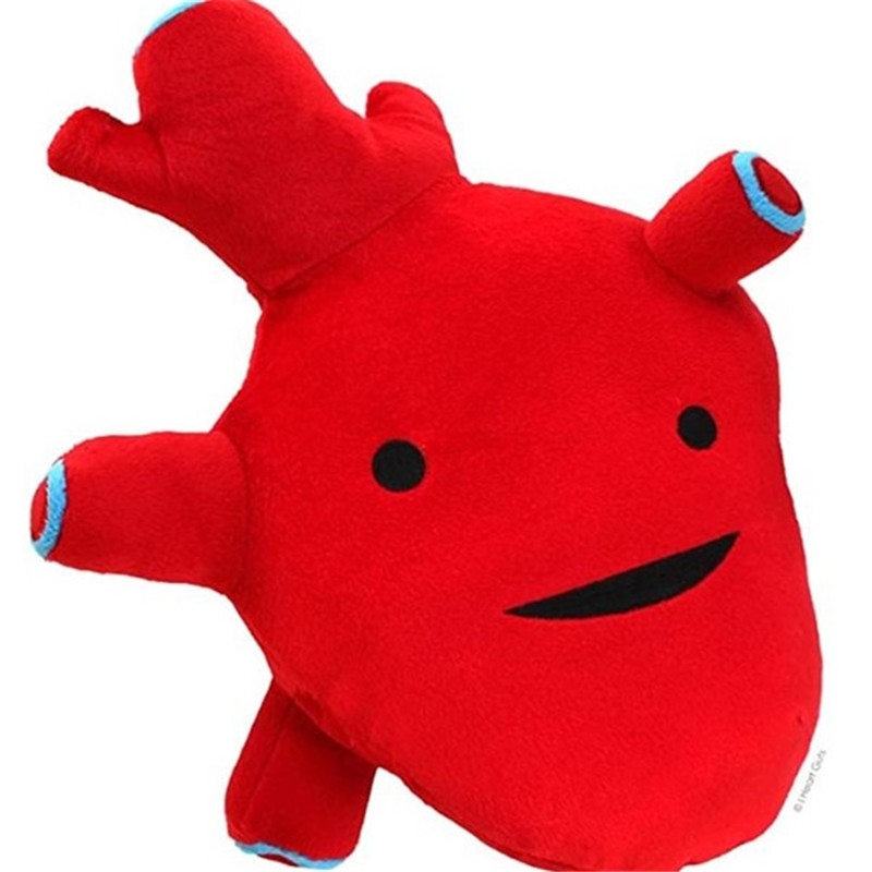 2022 28CM Human Organs Plush Toys Soft Cartoon Large Intestine Heart ...