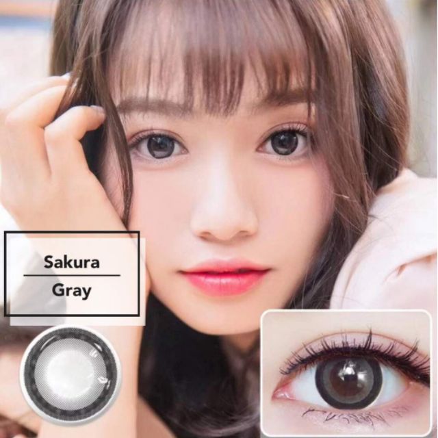 คอนแทคเลนส์ Kitty kawaii รุ่น Sakura Gray (สีเทา) - WINKBIGEYES - ThaiPick