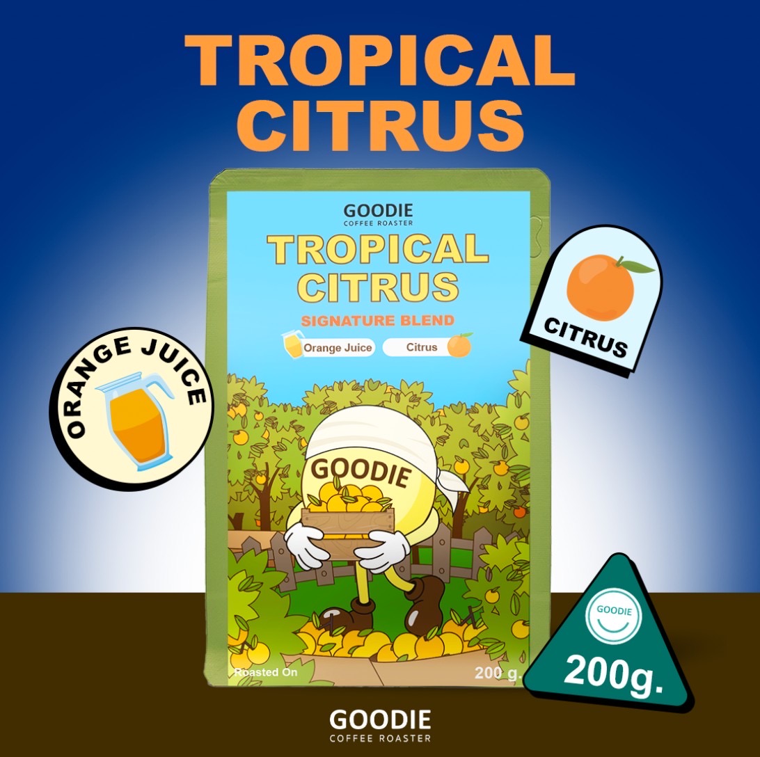 Goodie Coffee Roaster เมล็ดกาแฟ Tropical Citrus (Signature Blend ...