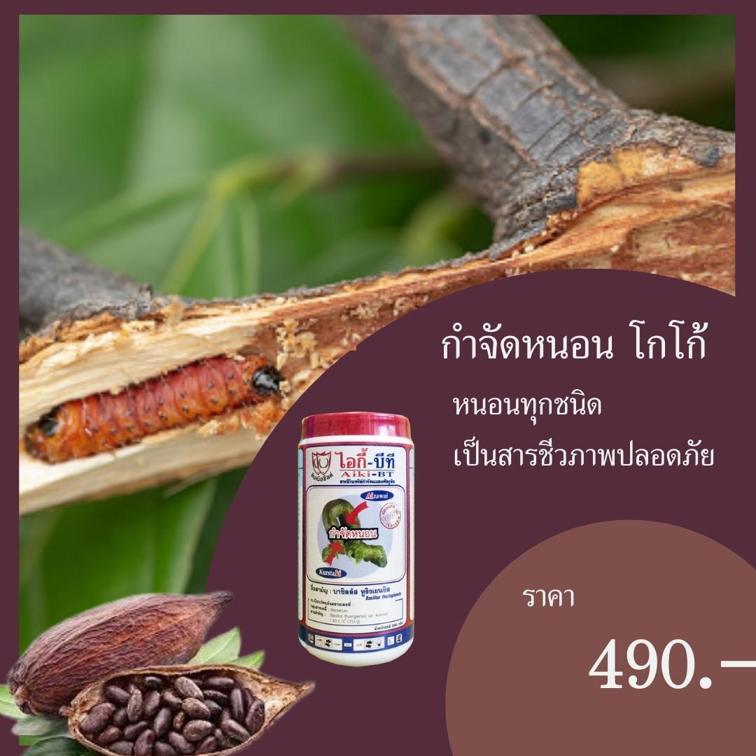 กำจัดหนอน โกโก้ หนอนศัตรูพืชทุกชนิด ปลอดสารพิษ ไอกี้และ FK-T(ใช้ได้ทุก ...