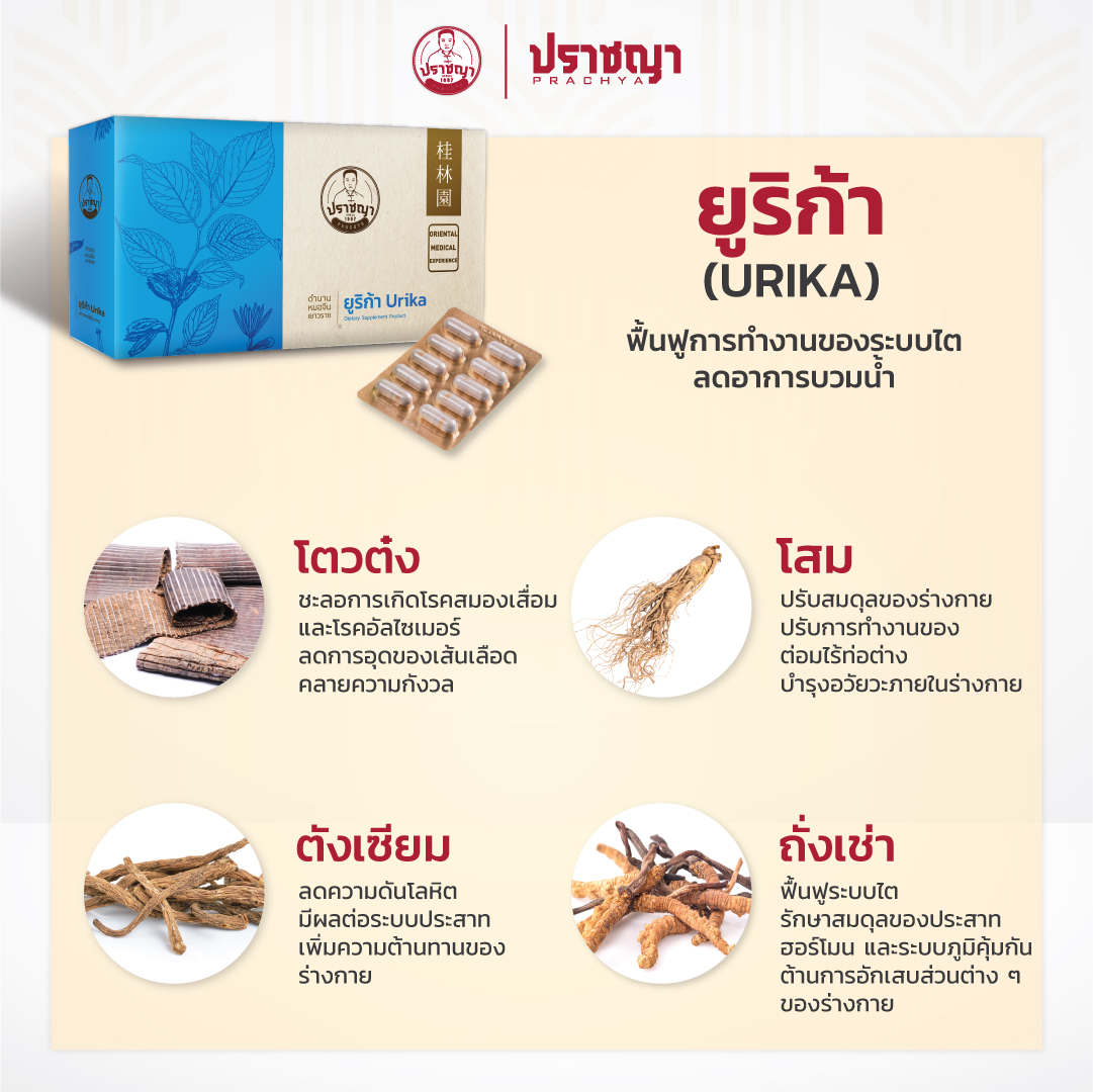 ปราชญาสมุนไพร ยูริก้า ( Urika ) ไต เสริมภูมิ - ปราชญาสมุนไพร - ThaiPick