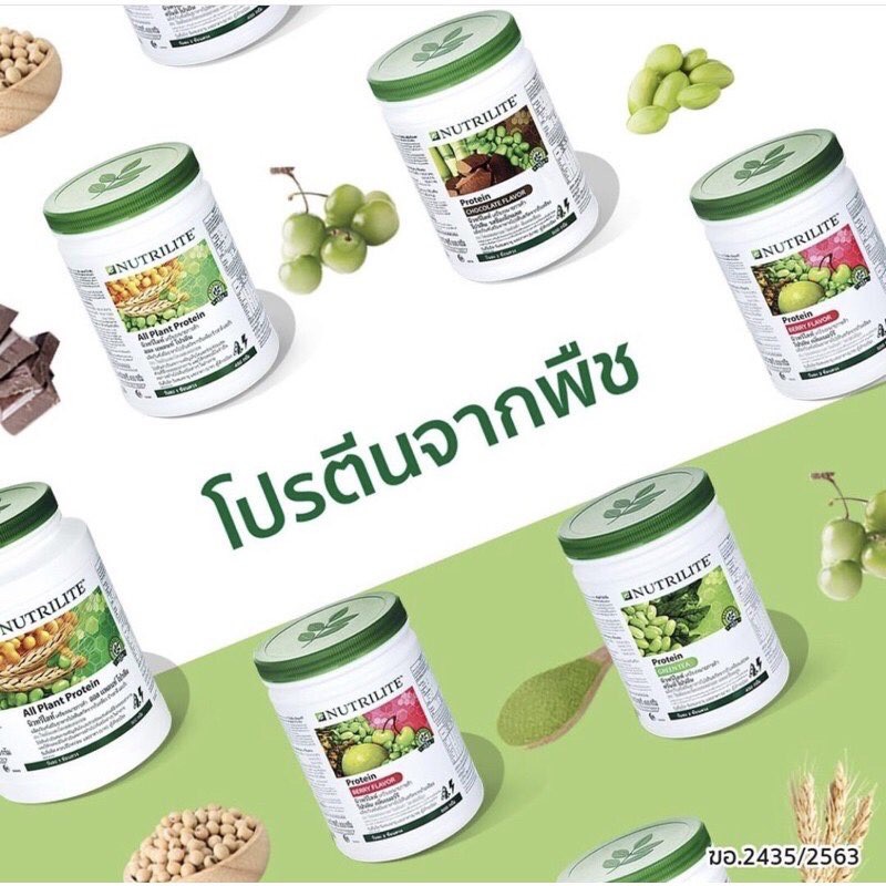 Amway Nutrilife Green Tea Protein 450กรัม ของไทยแท้100% ...