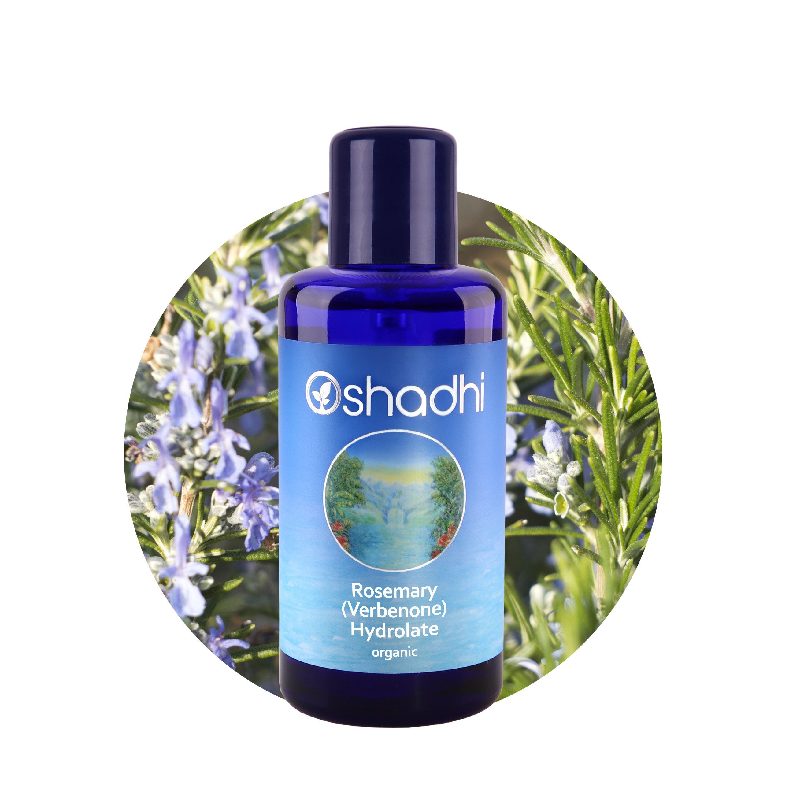 Oshadhi Rosemary (Verbenone) organic Hydrolate 100 ml - Oshadhi - ThaiPick