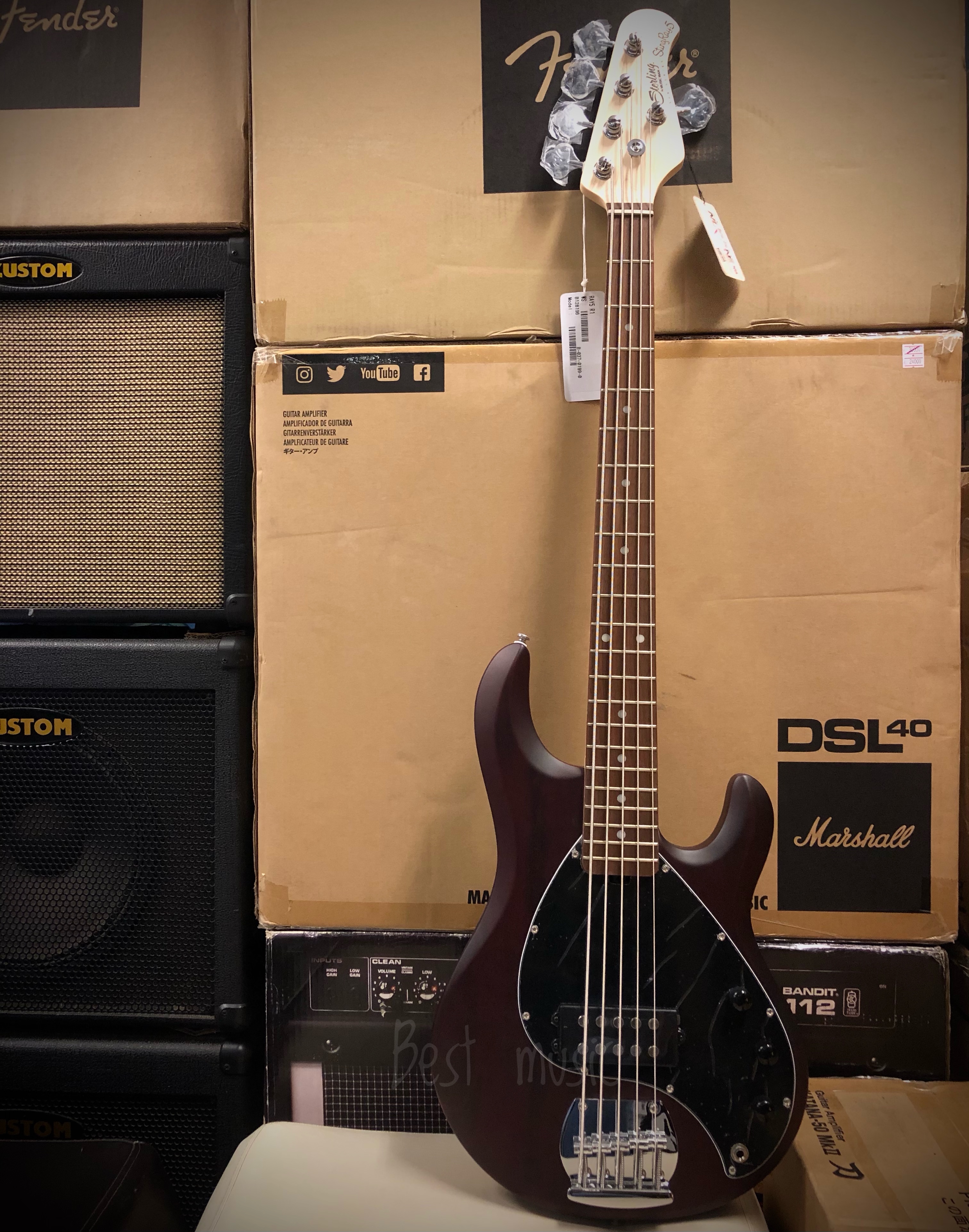 Sterling Sub Ray 5 Walnut Satin ( เบส 5 สาย ) - Best music - ThaiPick