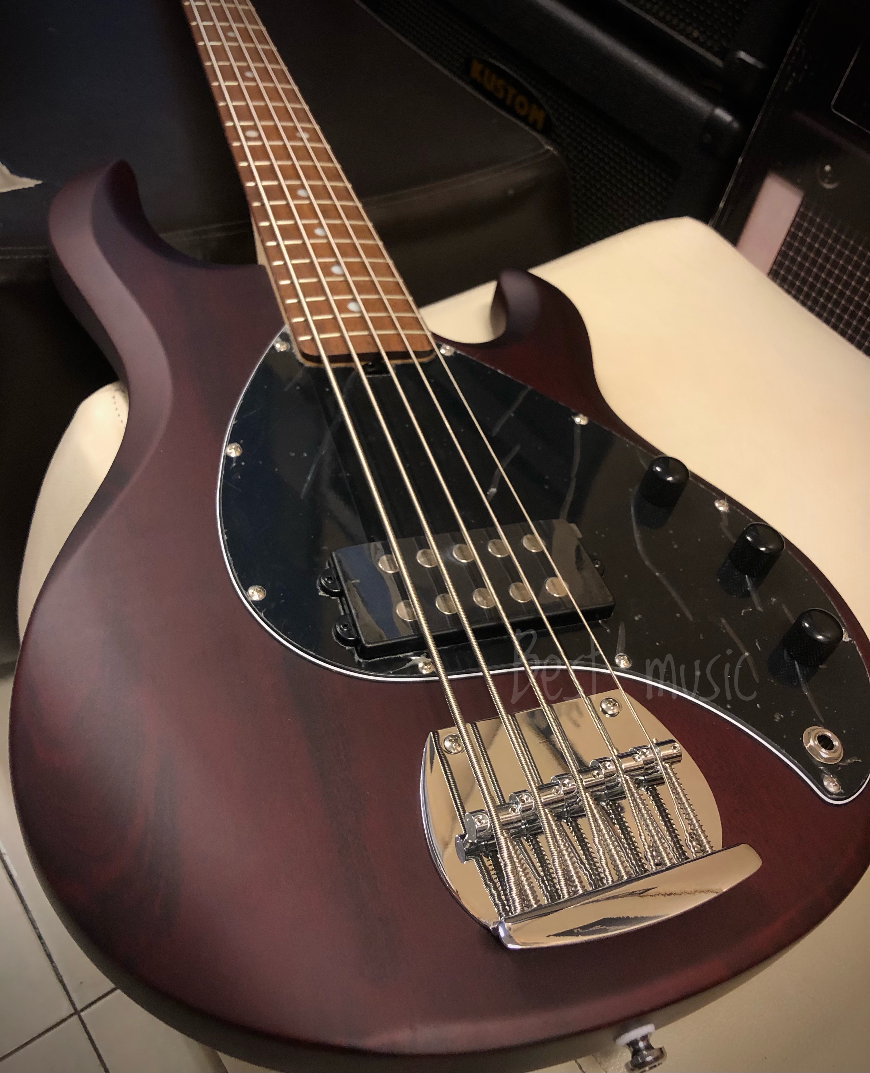 Sterling Sub Ray 5 Walnut Satin ( เบส 5 สาย ) - Best music - ThaiPick