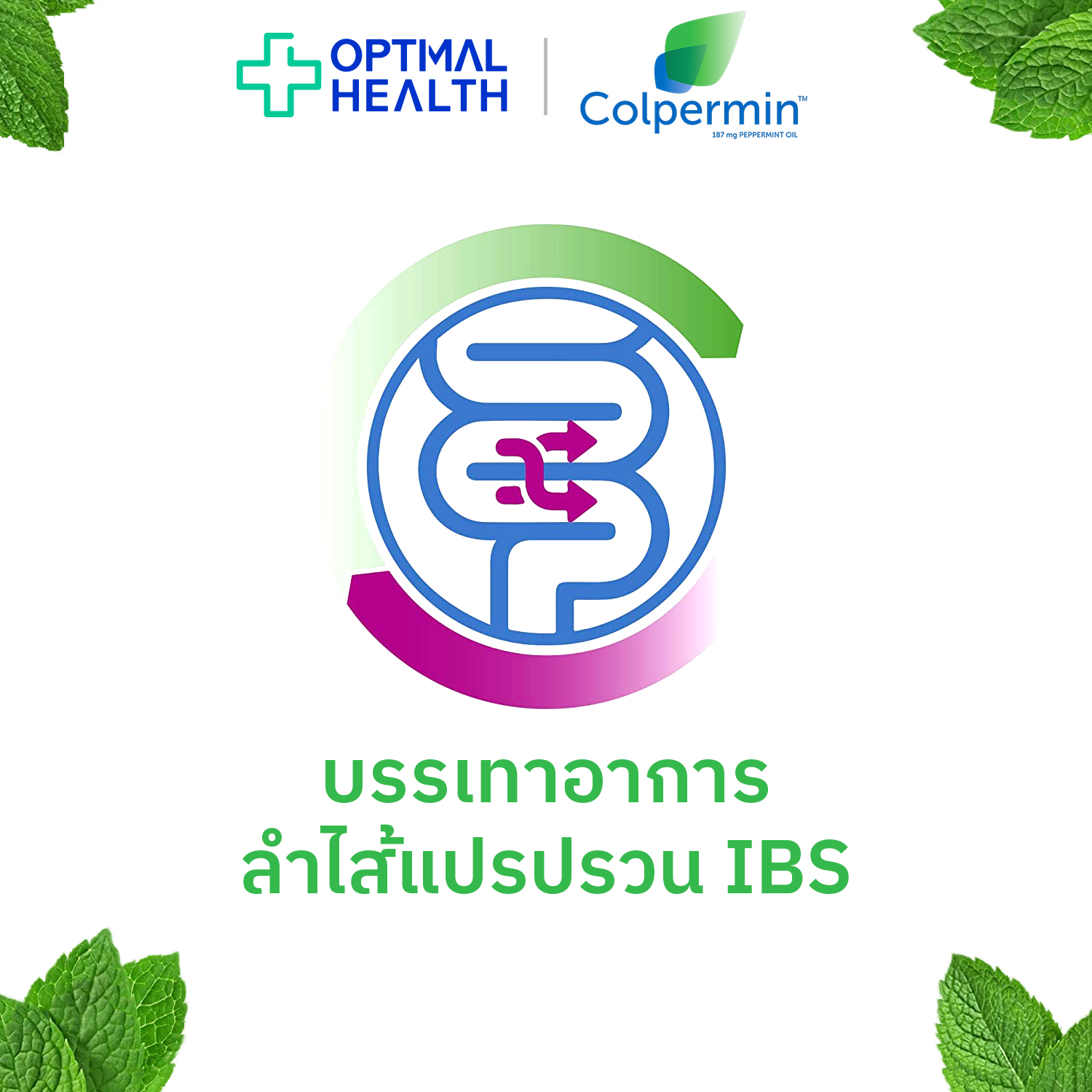 Colpermin - บรรเทาอาการลำไส้แปรปรวน IBS ปวดท้อง ท้องอืด ลดกรด ท้องผูก ...