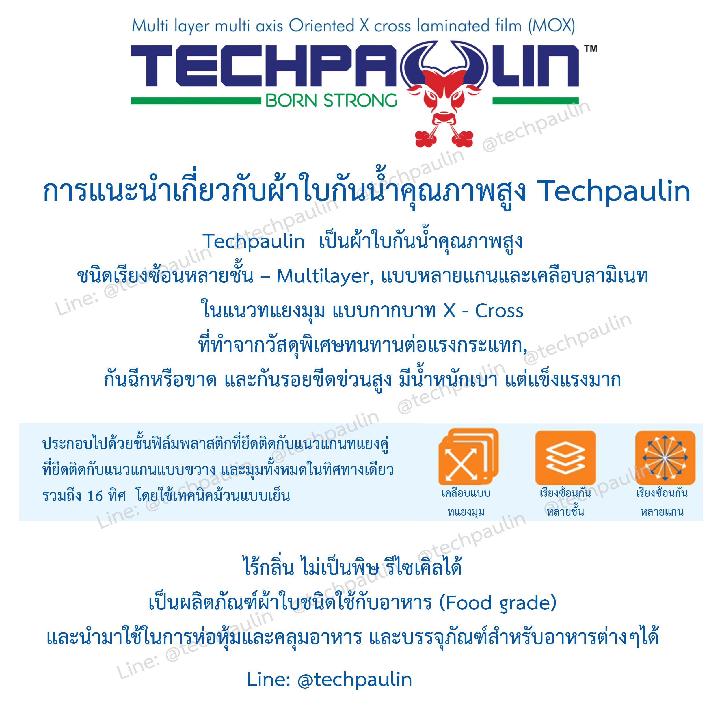 TECHPAULIN ผ้าใบกันน้ำ 100% ขนาด 2 x 3 เมตร (สีเขียวอ่อน) พลาสติก HDPE ...