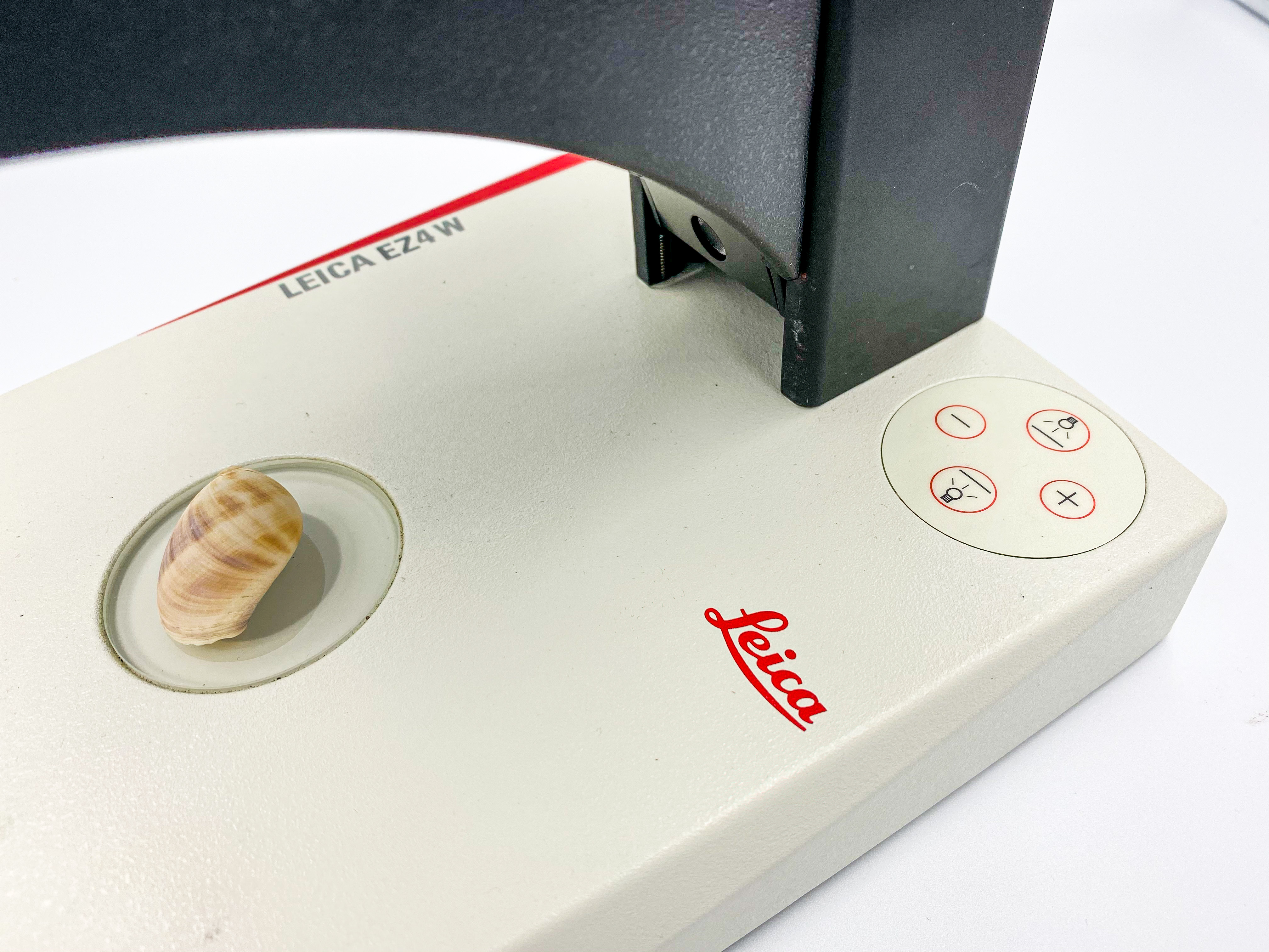 Leica EZ4 W - กล้องจุลทรรศน์ สโตริโอ พร้อมระบบถ่ายภาพและไวไฟ ...