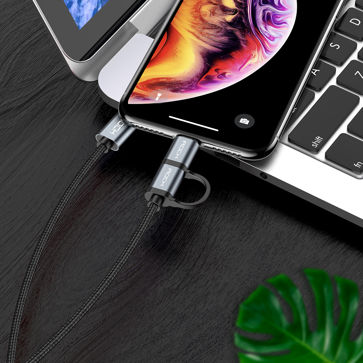 Rock USB-C to USB-C & Lightning 2 in1 Charge & Sync Cable สายชาร์จ ...