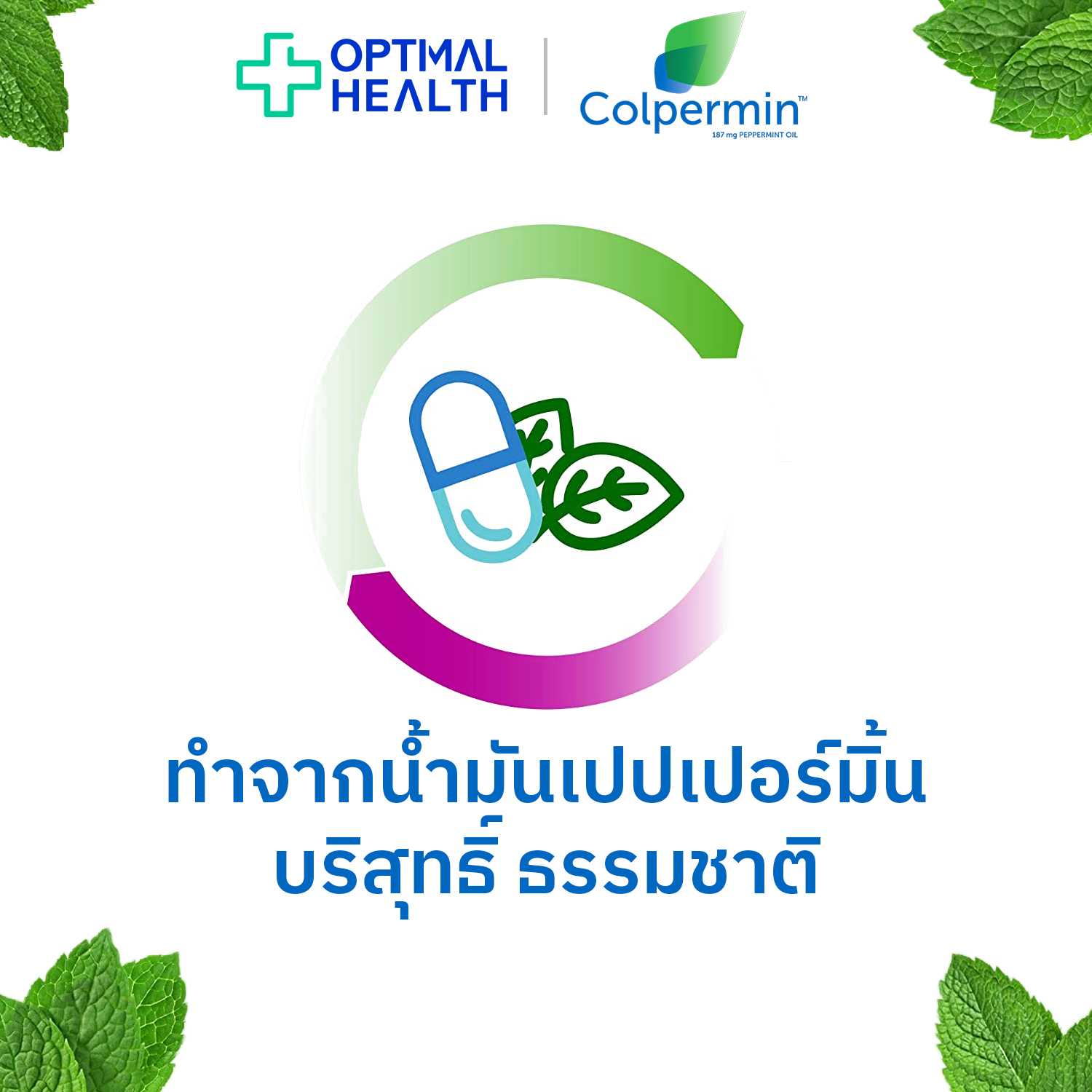 Colpermin - บรรเทาอาการลำไส้แปรปรวน IBS ปวดท้อง ท้องอืด ลดกรด ท้องผูก ...