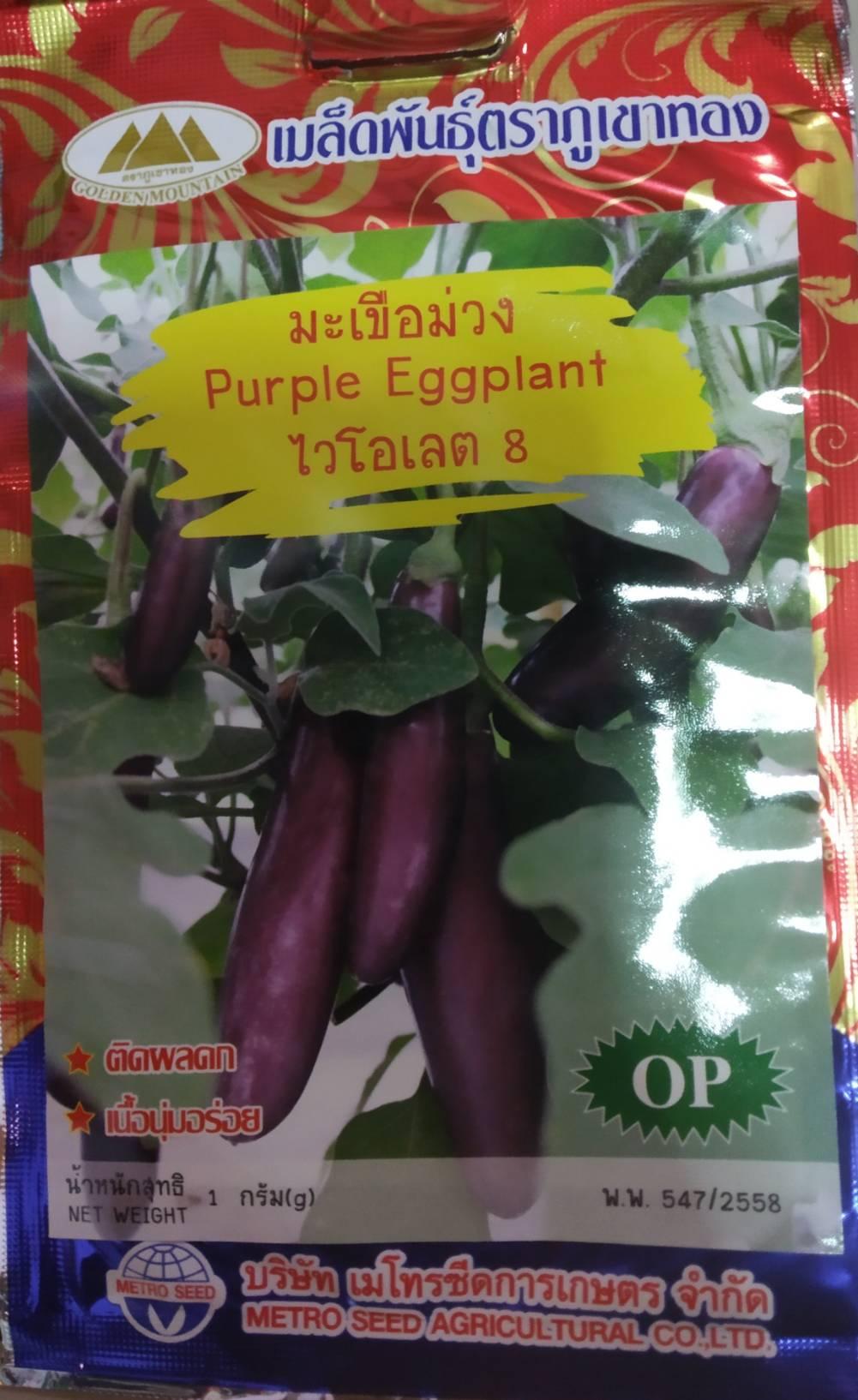 กำมะหยี่ม่วง Purple Passion Vine ชื่อวิทยาศาสตร์: Gynura aurantiaca (Blume) DC. ‘Purple Passion ...