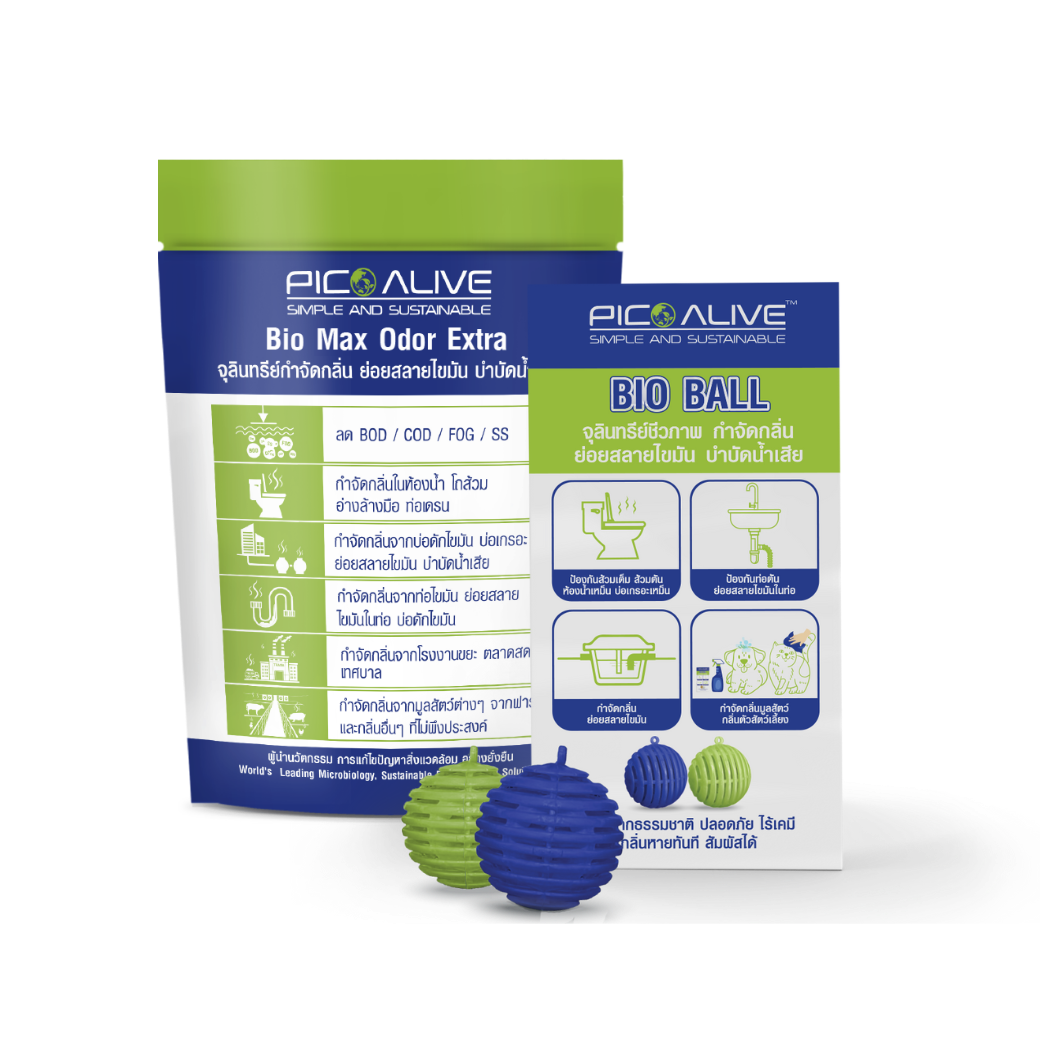 Pico Alive 02 ประเทศไทย ร้านค้าออนไลน์อย่างเป็นทางการ | ช้อปเลยบน Lazada