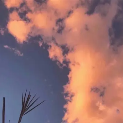 Shop online with FHGLFDA1 now! Visit FHGLFDA1 on Lazada.