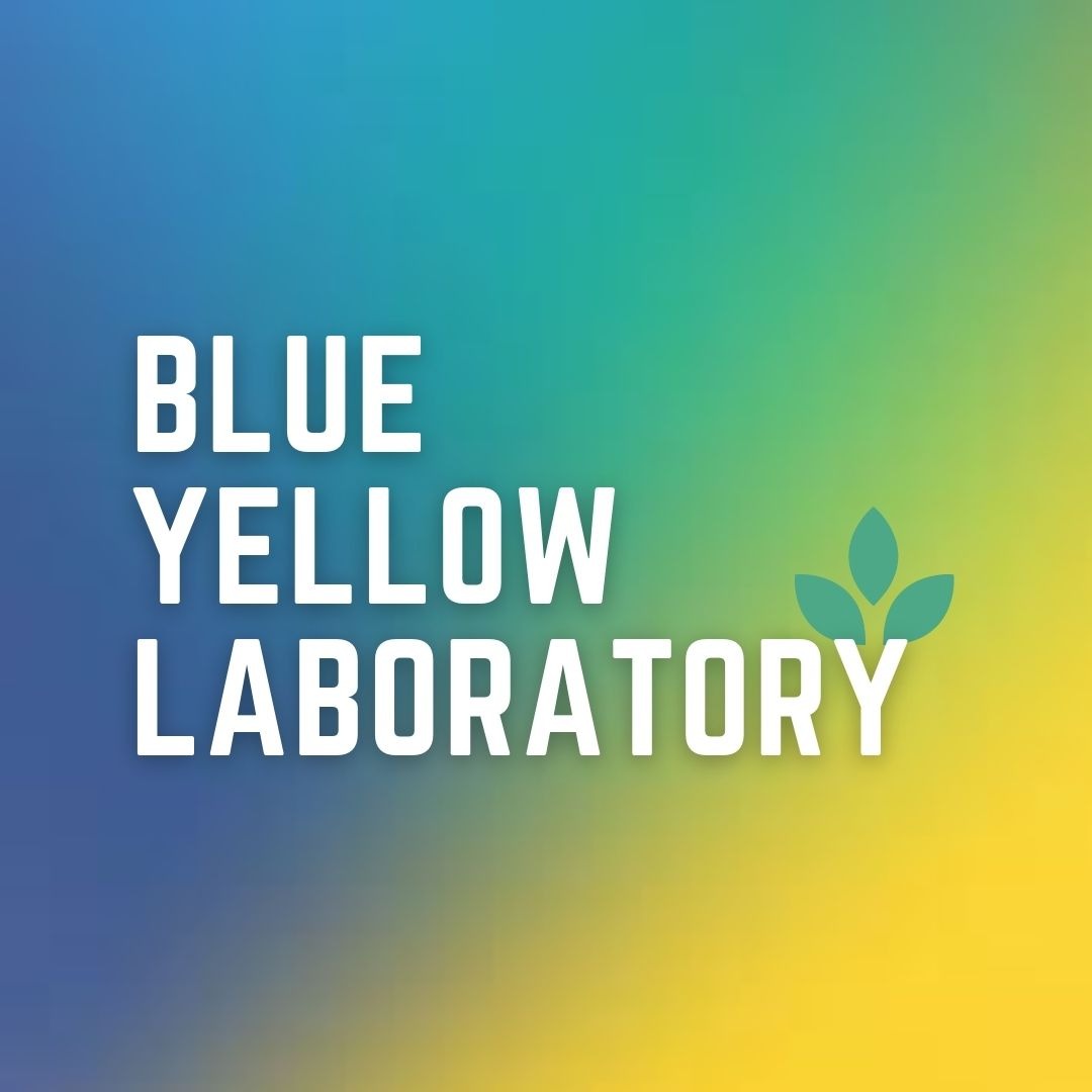 Shop online with Blue Yellow Lab now! Visit Blue Yellow Lab on Lazada.
