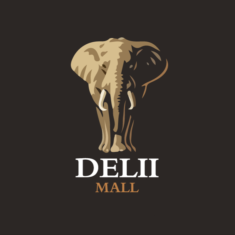 DELII MALL ประเทศไทย ร้านค้าออนไลน์อย่างเป็นทางการ | ช้อปเลยบน Lazada