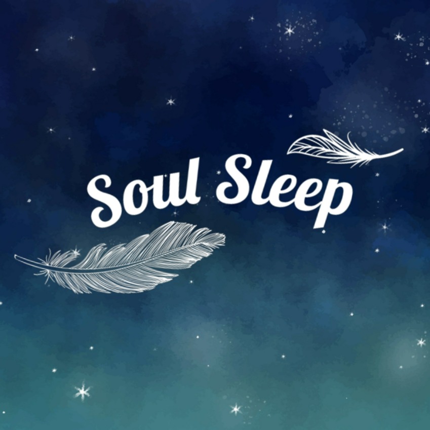 Soul Sleep Luxury Bedding ประเทศไทย ร้านค้าออนไลน์อย่างเป็นทางการ | ช้ ...