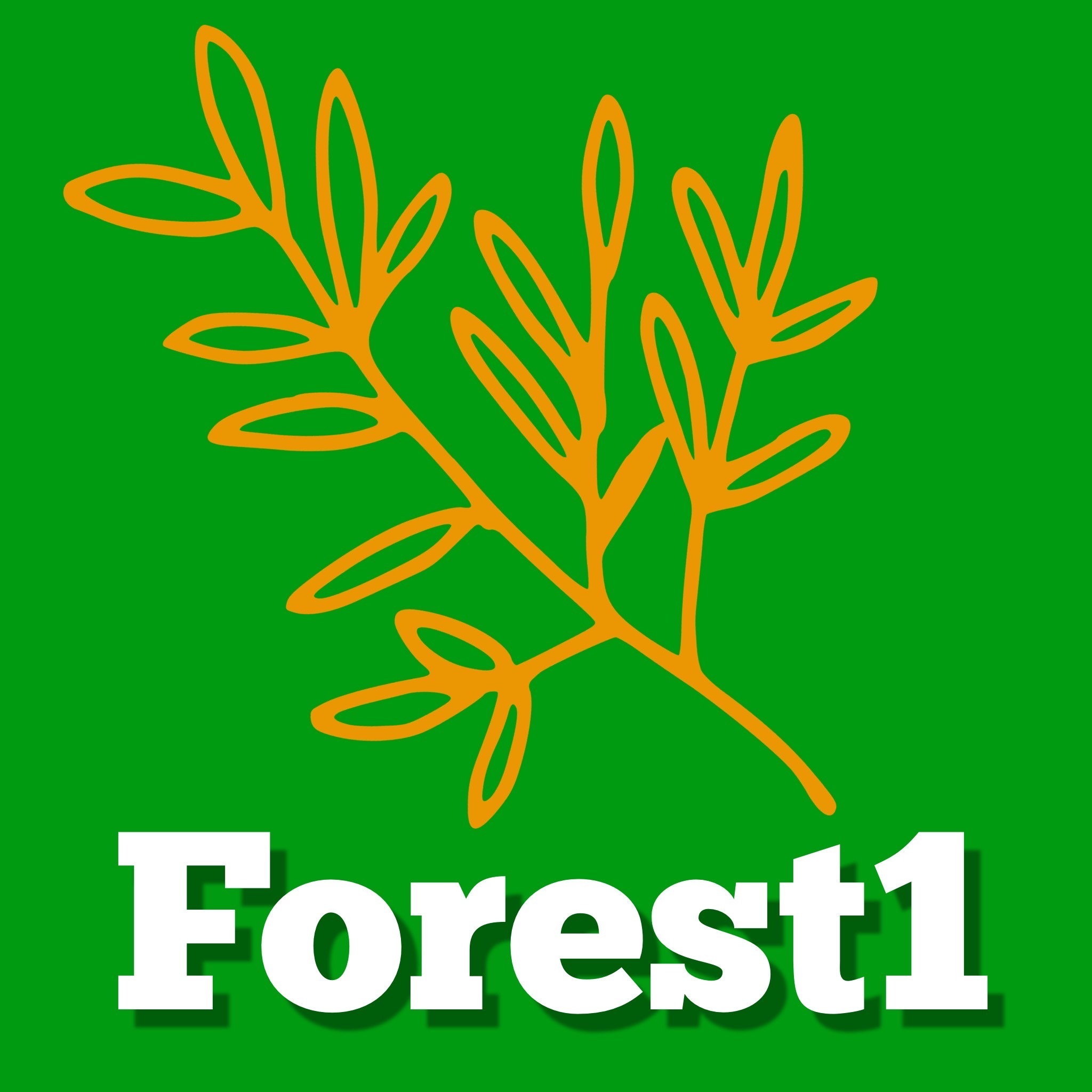 ช้อปออนไลน์ ที่ Forest1 | lazada.co.th
