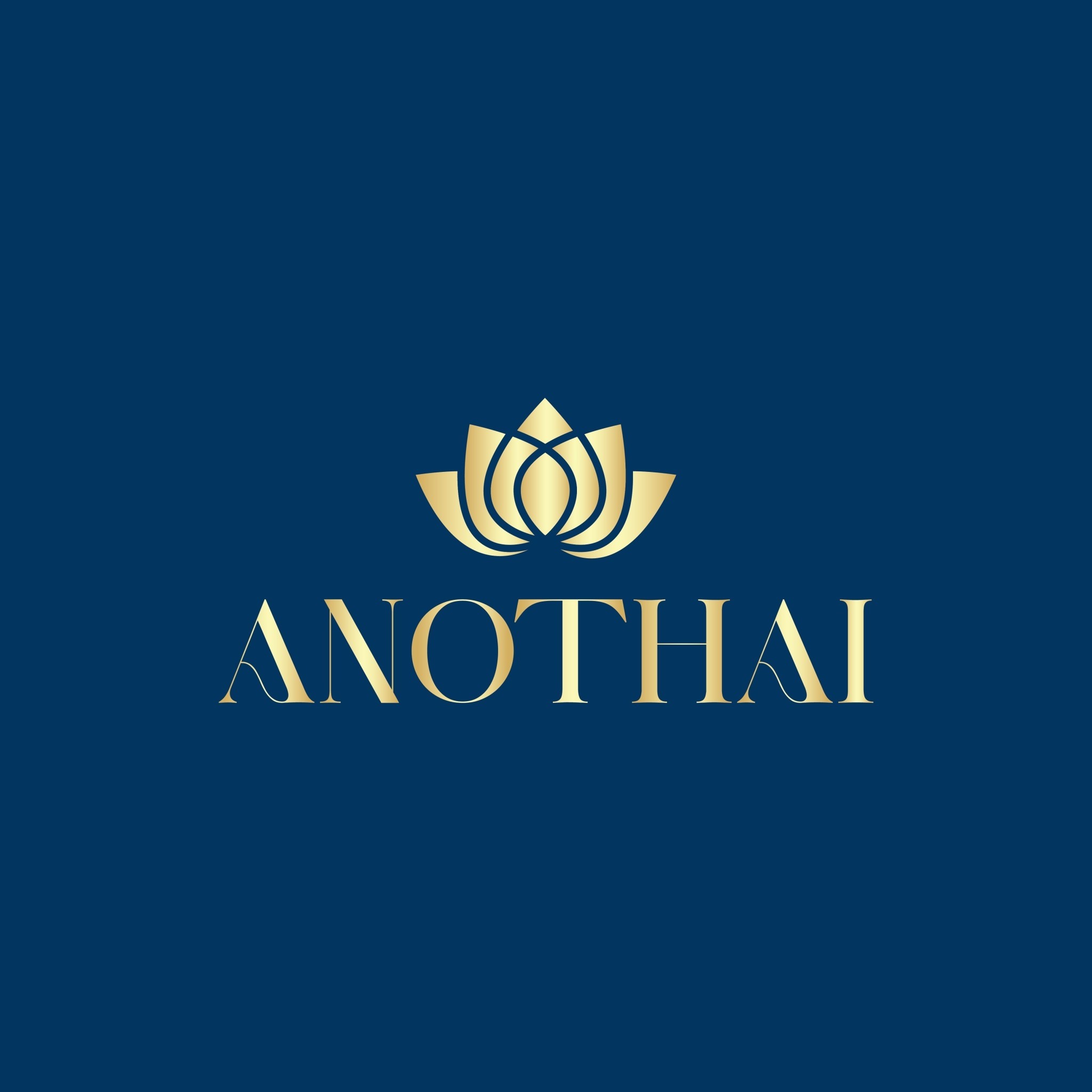 AnothaiGift ร้านค้าอย่างเป็นทางทางในประเทศไทย ช้อปสะดวกปลอดภัย ที่ลาซาด ...