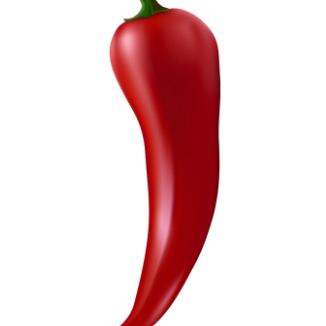 Shop online with Red chilli 1 now! Visit Red chilli 1 on Lazada.