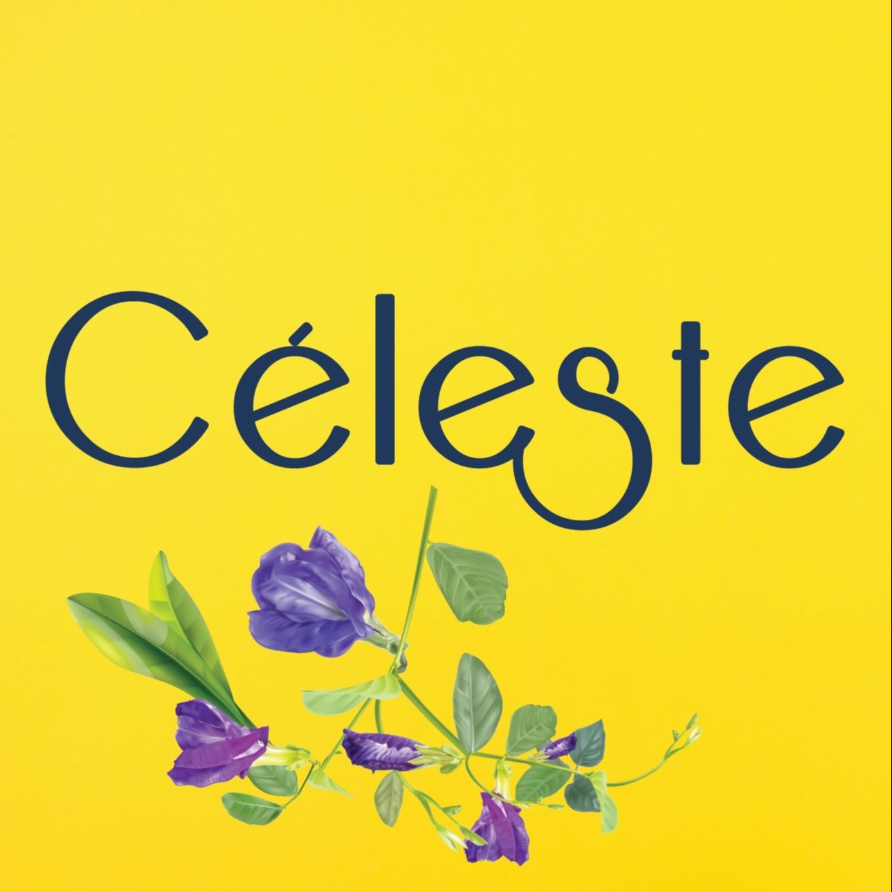 Shop online with Celeste Shampoo now! Visit Celeste Shampoo on Lazada.