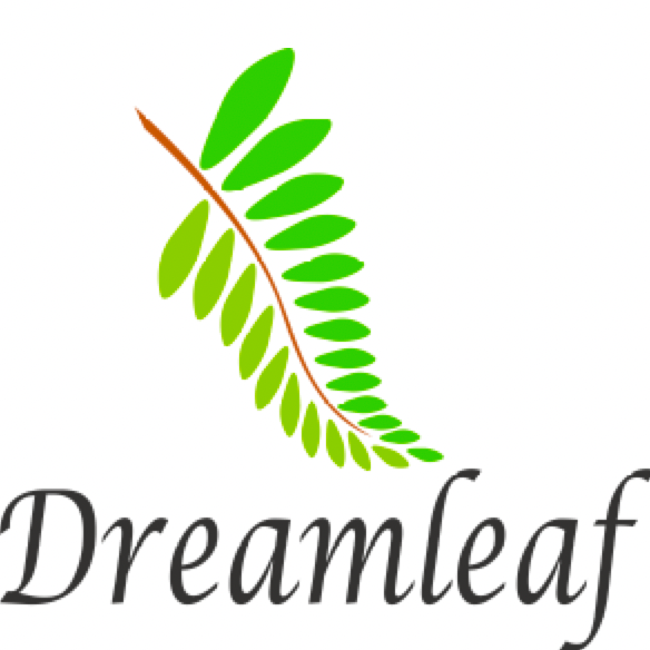 ช้อปออนไลน์ Dreamleaf | Lazada Thailand