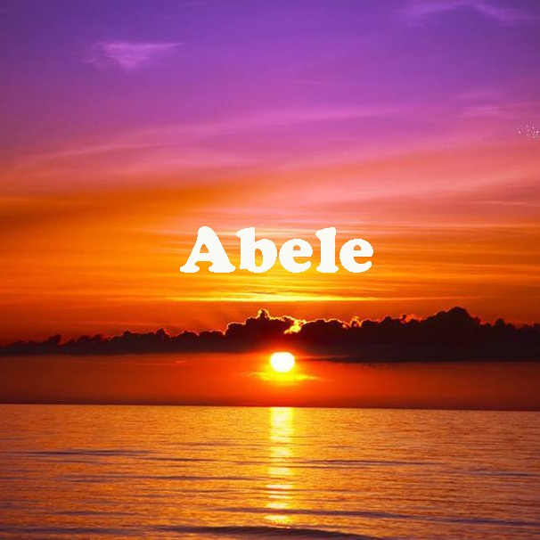 Shop online with Abele_ now! Visit Abele_ on Lazada.