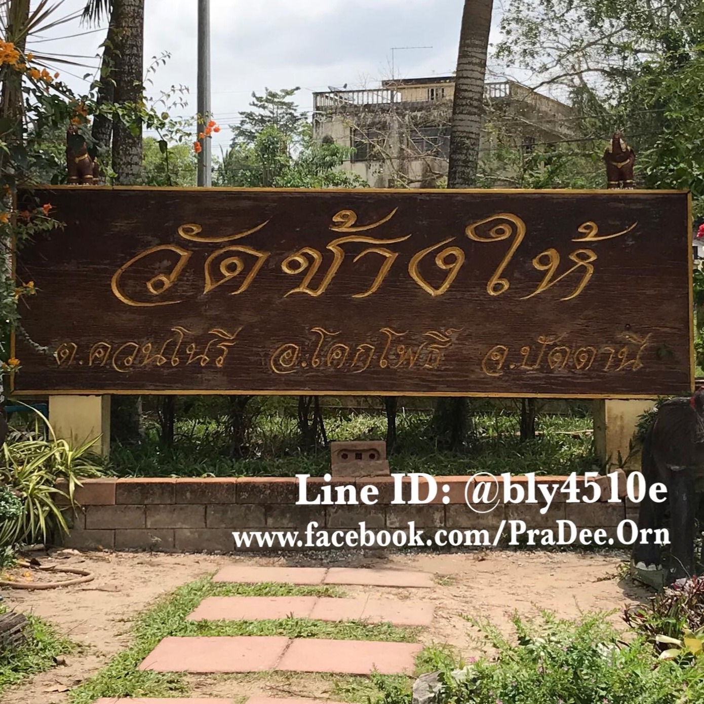 pradee.orn ประเทศไทย ร้านค้าออนไลน์อย่างเป็นทางการ | ช้อปเลยบน Lazada