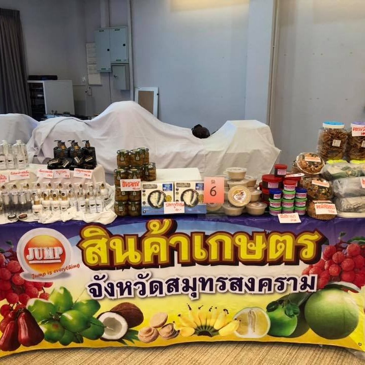 DARESH ประเทศไทย ร้านค้าออนไลน์อย่างเป็นทางการ | ช้อปเลยบน Lazada