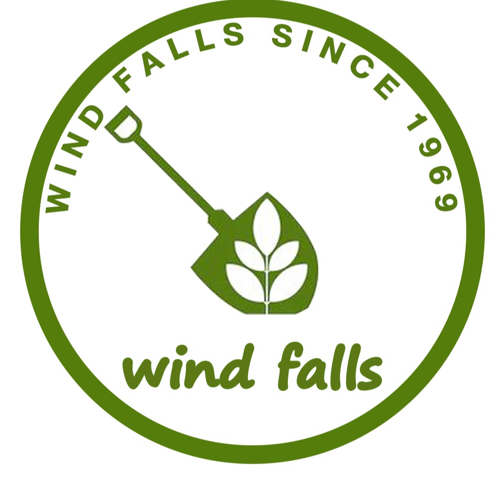 wind falls ร้านค้าทางการในประเทศไทย ช้อปสะดวกปลอดภัย ที่ Lazada ตลอด ...
