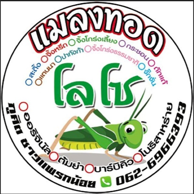 ช้อปออนไลน์ BUG LOSO | Lazada Thailand