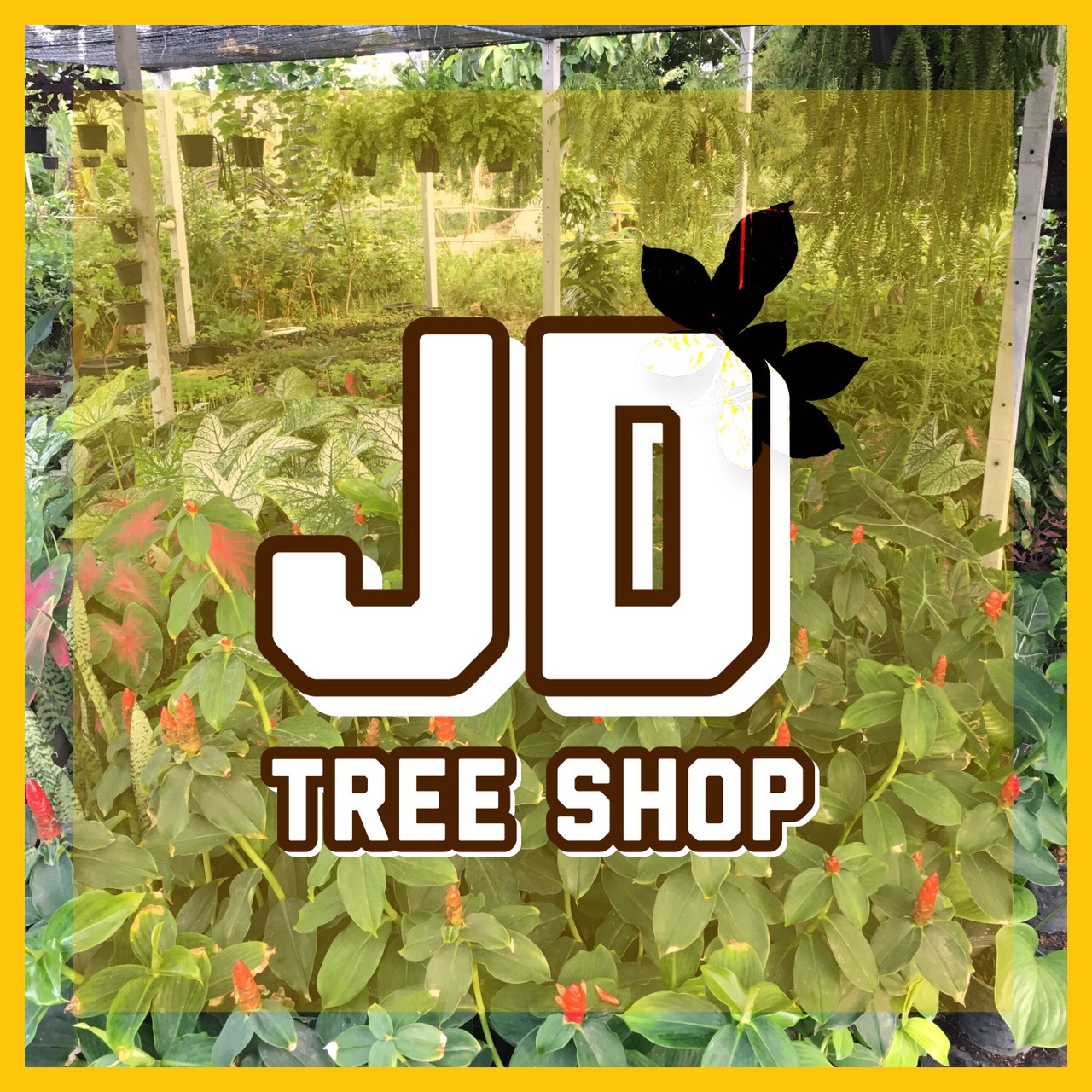 Shop online with JD Tree Shop now! Visit JD Tree Shop on Lazada.