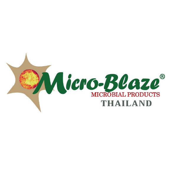 Micro Blaze