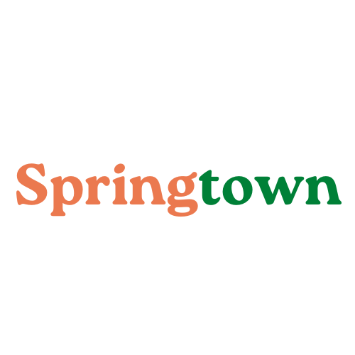 Springtown ร้านค้าอย่างเป็นทางทางในประเทศไทย ช้อปสะดวกปลอดภัย ที่ลาซาด ...