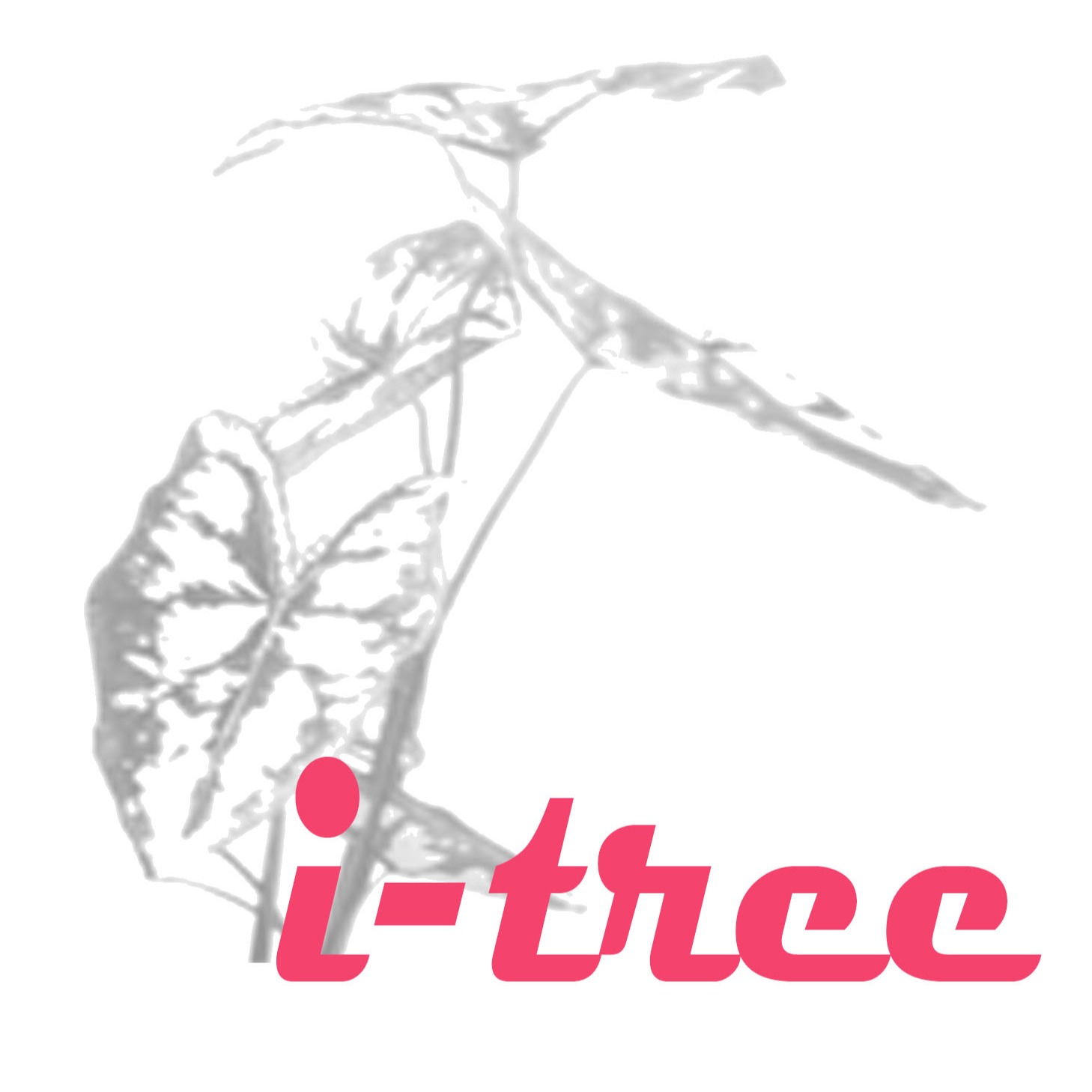 I-TREE ประเทศไทย ร้านค้าออนไลน์อย่างเป็นทางการ | ช้อปเลยบน Lazada
