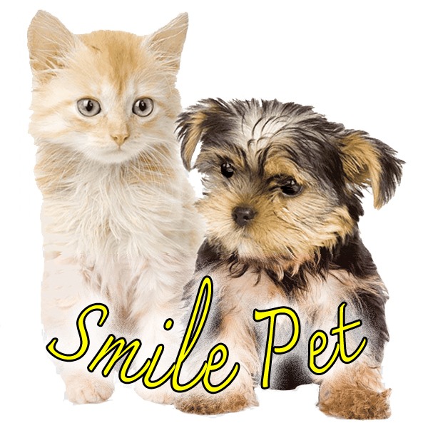 Smile Pet ประเทศไทย ร้านค้าออนไลน์อย่างเป็นทางการ | ช้อปเลยบน Lazada