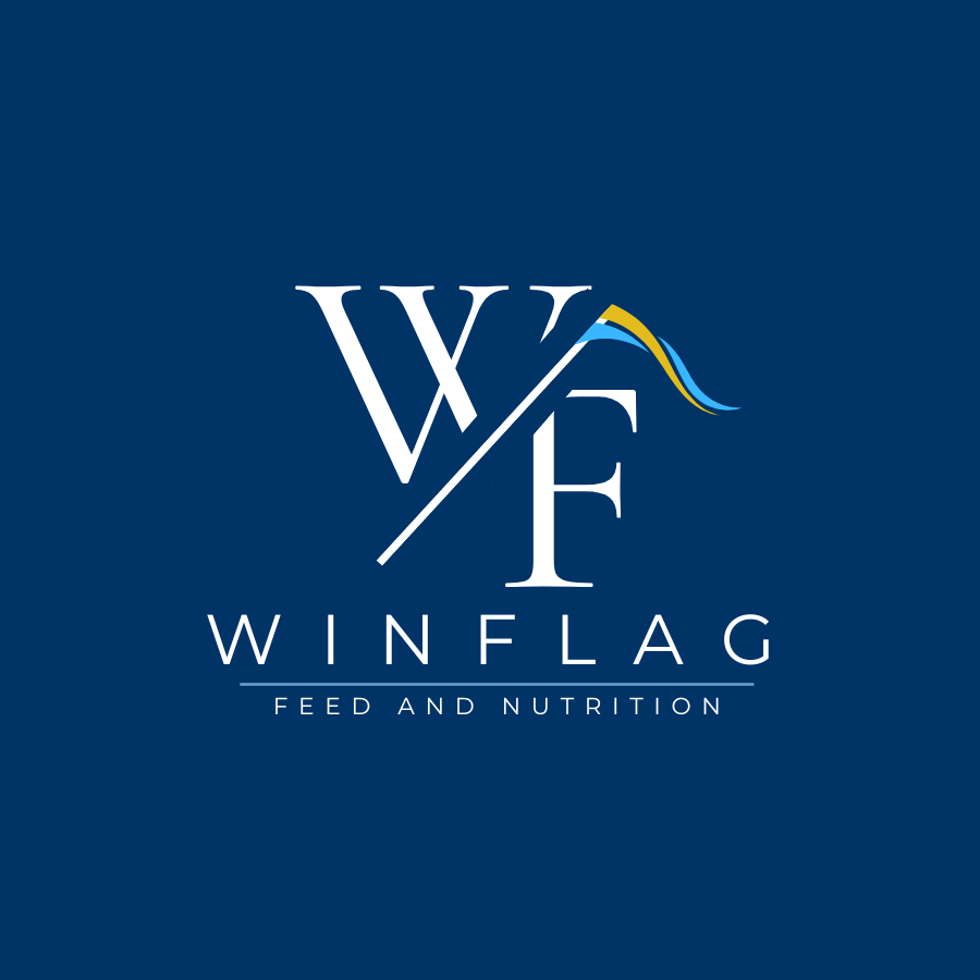 WINFLAG ประเทศไทย ร้านค้าออนไลน์อย่างเป็นทางการ | ช้อปเลยบน Lazada