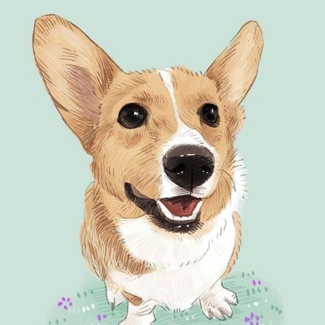 Shop online with Dogland Plus now! Visit Dogland Plus on Lazada.