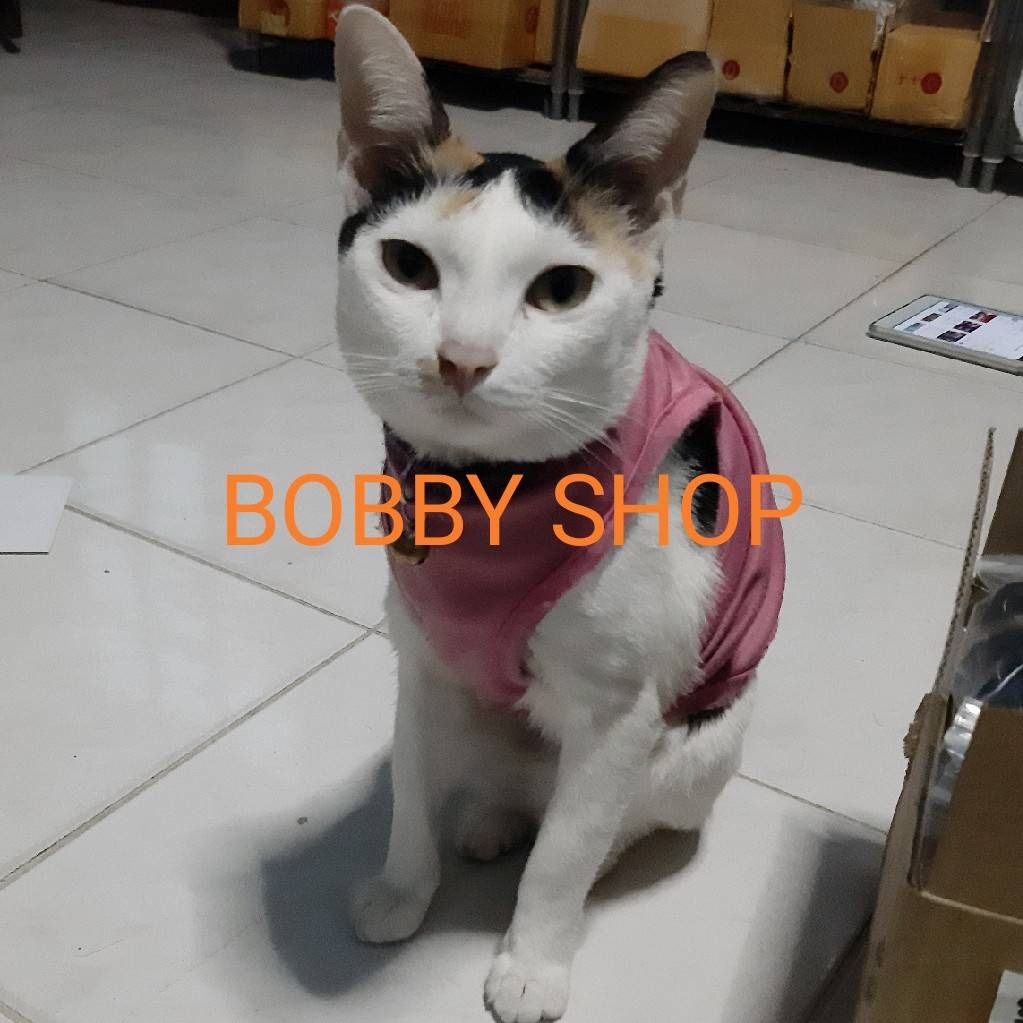 BOBBY SHOP 2 ประเทศไทย ร้านค้าออนไลน์อย่างเป็นทางการ | ช้อปเลยบน Lazada