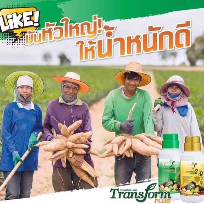 ช้อปออนไลน์ บ้านปุ๋ยนาโน Transform Plus | Lazada Thailand