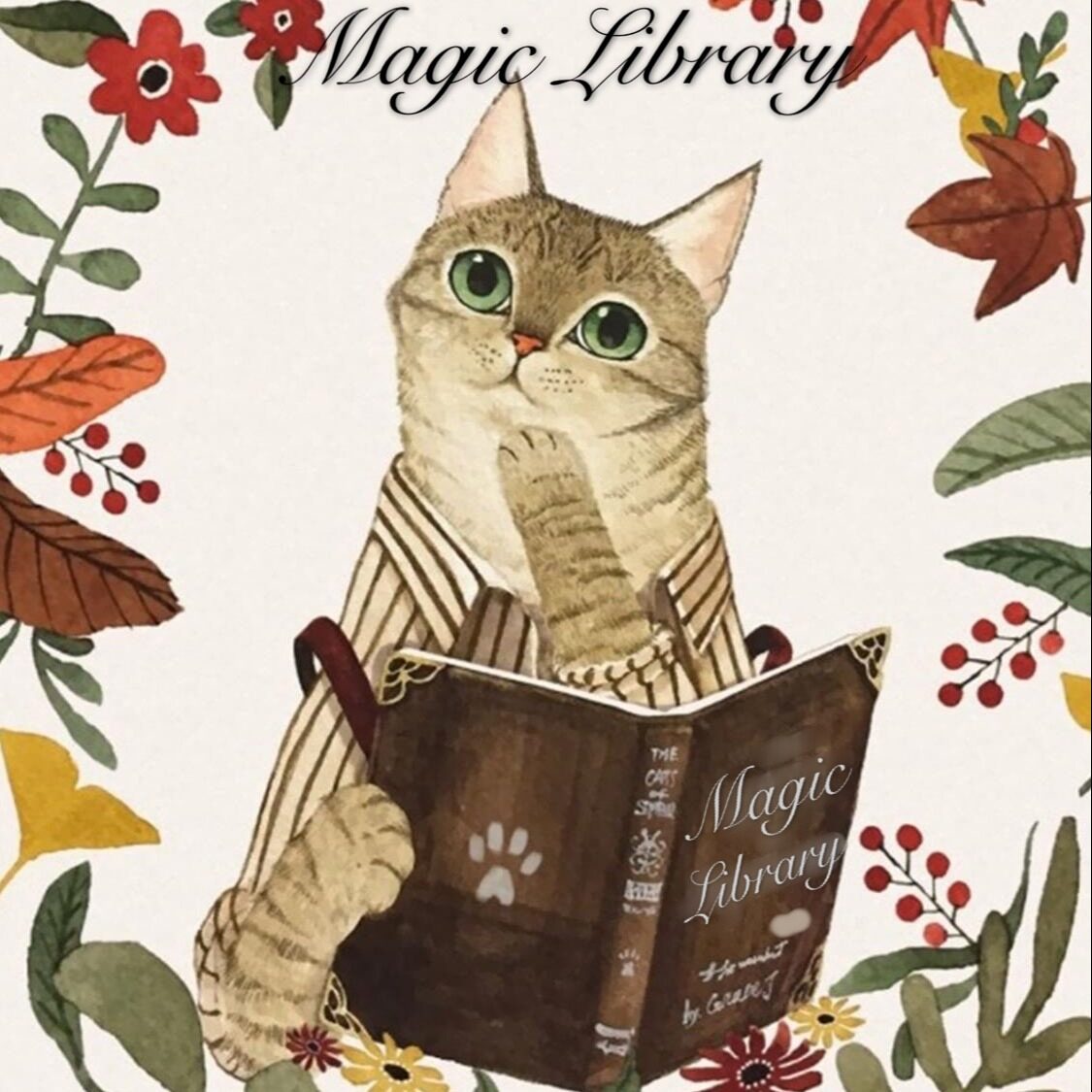 Magic Library ประเทศไทย ร้านค้าออนไลน์อย่างเป็นทางการ | ช้อปเลยบน Lazada