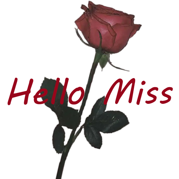 Hello Miss.com ประเทศไทย ร้านค้าออนไลน์อย่างเป็นทางการ | ช้อปเลยบน Lazada